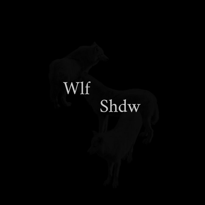 Wolf Shadow | Zachary Dial