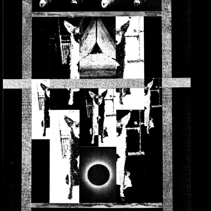 Gray Spectrum | Diafracta