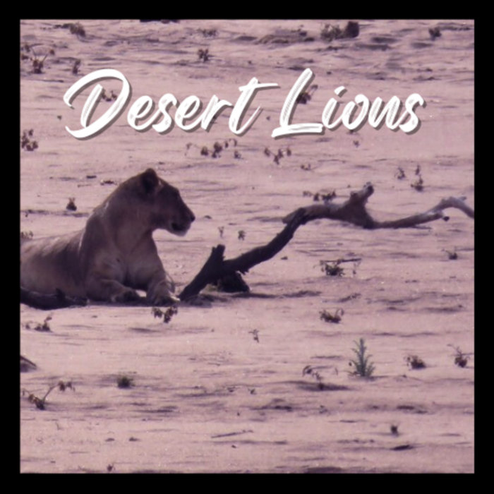 Desert Lions - Rally Core (John-Lloyd Bramley + Chris J Mocke) | CHRIS ...