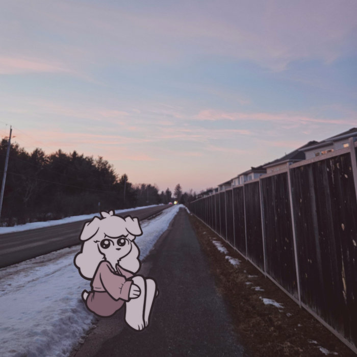 coral drive / liar | gloomy dog