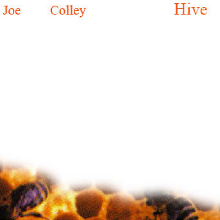 Hive | Joe Colley