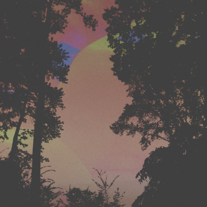 Dusk - Single | Panda Coast