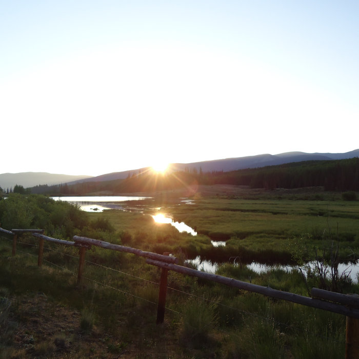 The Great Romance | Emily Weed