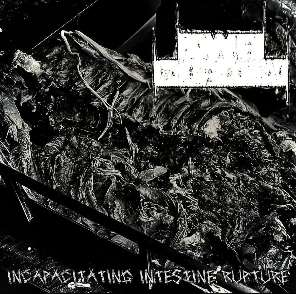 INCAPACITATING INTESTINE RUPTURE | Bowel Calcification