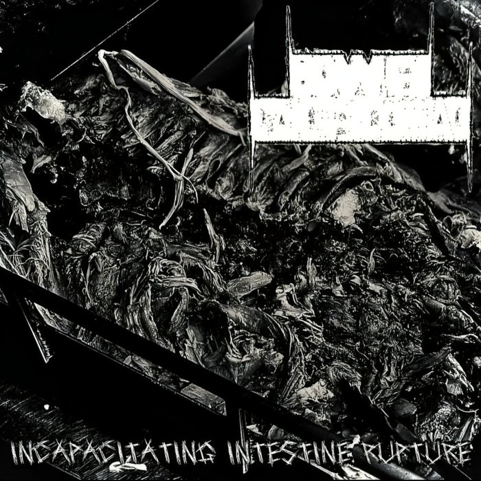 INCAPACITATING INTESTINE RUPTURE | Bowel Calcification