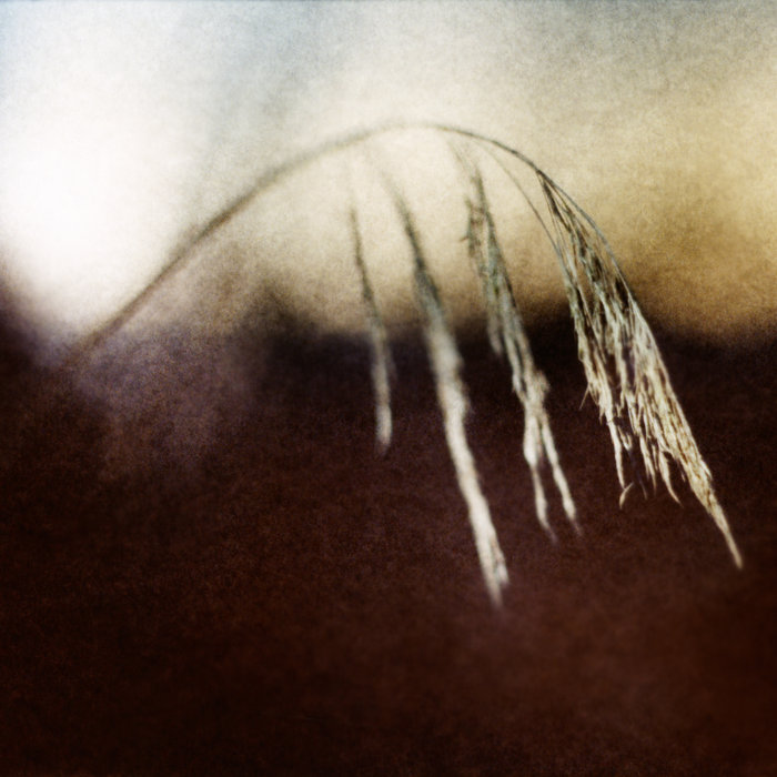 Denied By Light | tenebrous LIAR