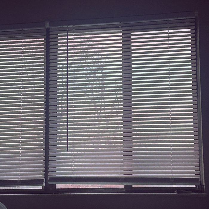 Dawn | Autumn Snodgrass