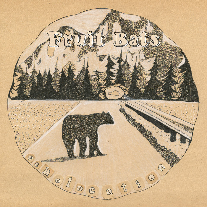 Echolocation | Fruit Bats