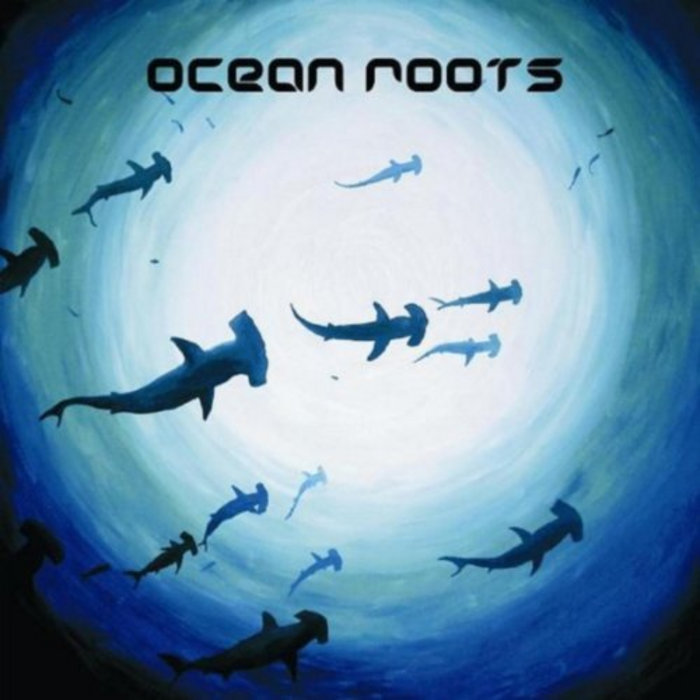 Ocean Roots | Ocean Roots