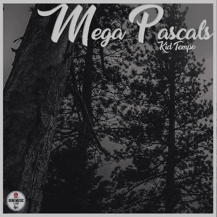 Mega Pascals Kid Tempo Mega Pascals Kid Tempo