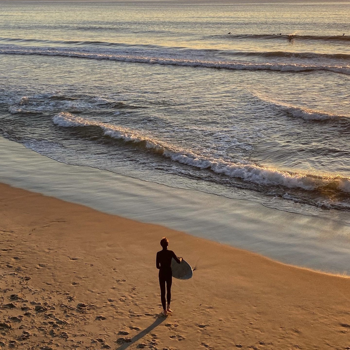 The Orange Surf | Mooy