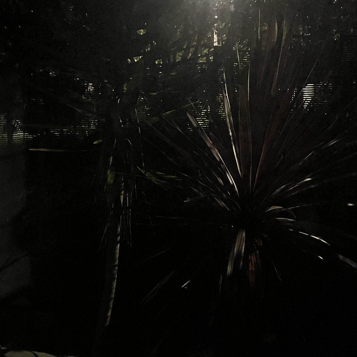 Disconnection | Future Intent