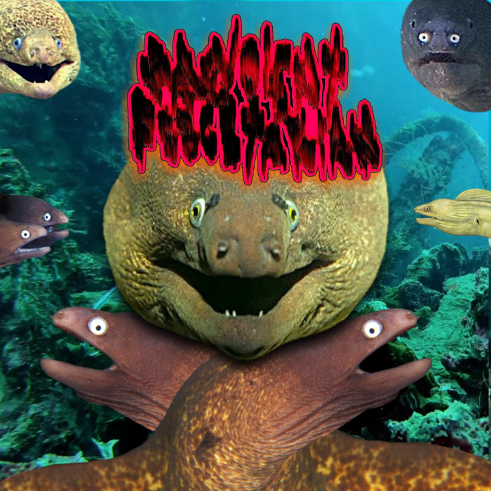 Slowly Devoured By A Toothless Fish | Malevolent Pescetarian | CULTUS