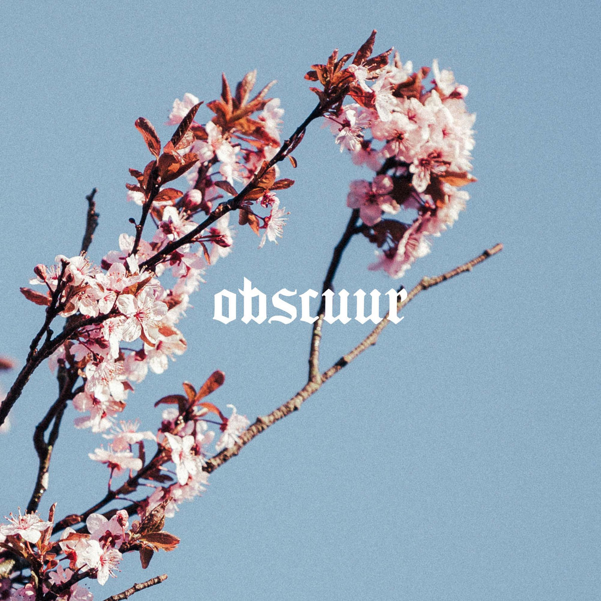 Wasabi Subnote EP | San Regret | OBSCUUR