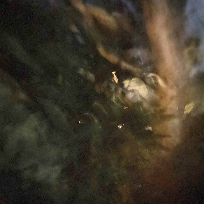 Threes | Nathan Amundson | Rivulets