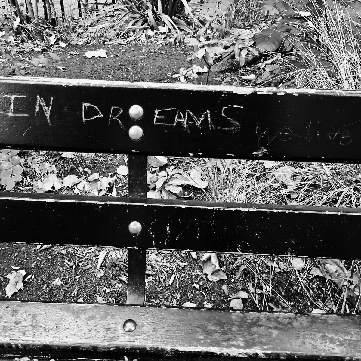 In Dreams | Adam Soper