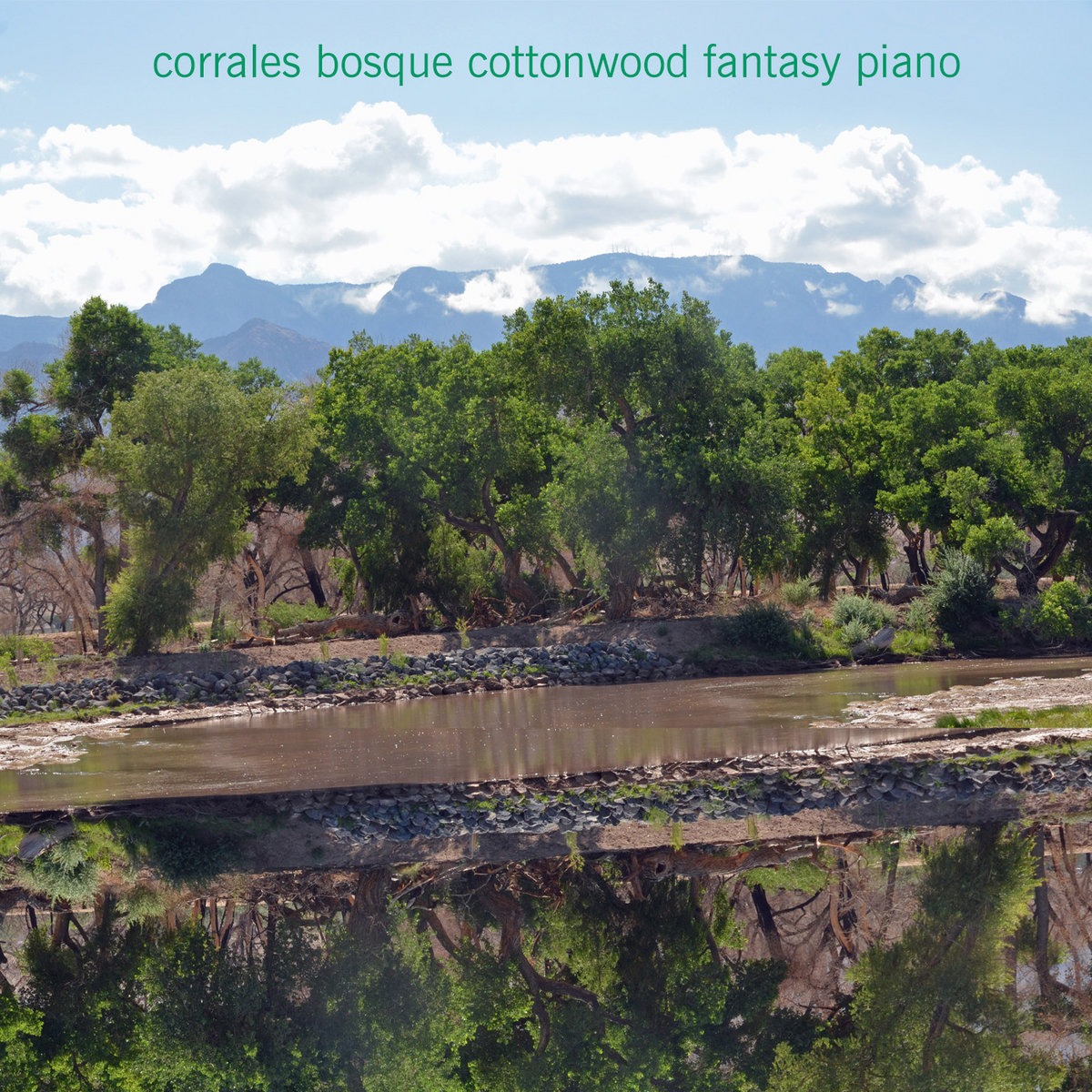 Fantasy for Piano - Young Cottonwood Tree, Mature Cottonwood Tree by ...