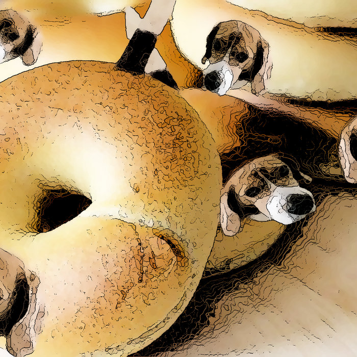 Remixes | Beagles In Space