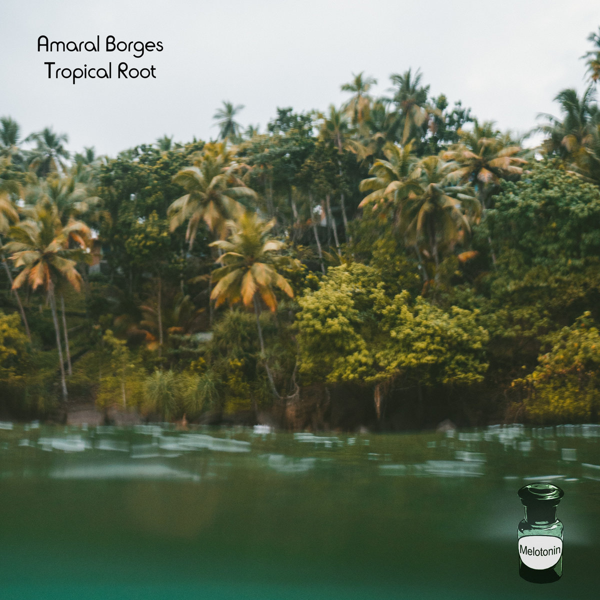 Tropical Root | Amaral Borges | Melotonin