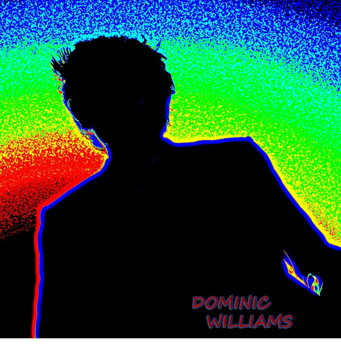 Dominic Williams | Dominic Williams