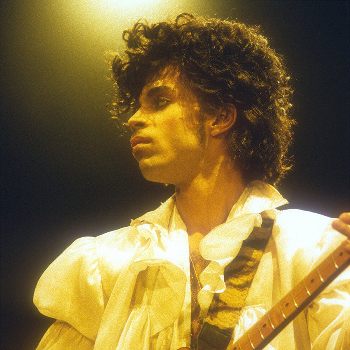 Prince-The Future (Orchid Rework) | Orchid / Transcendent Experience
