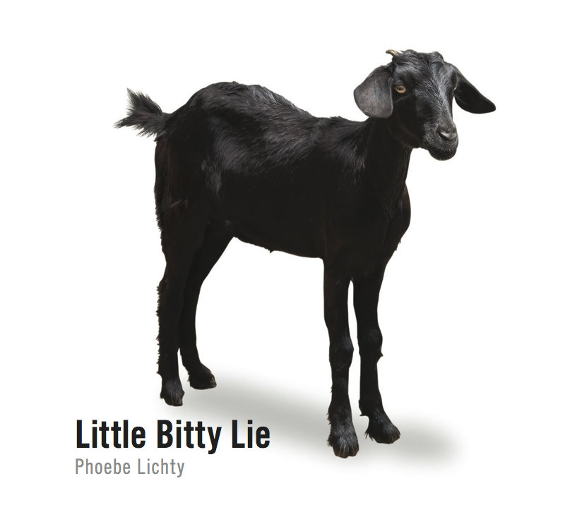 Prince Louie | Phoebe Lichty