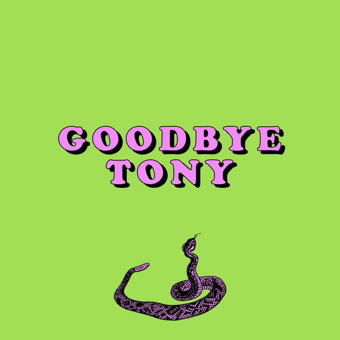 goodbye tony | tony peachka