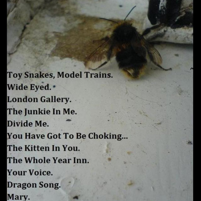 Toy Snakes, Model Trains | Adam Stone