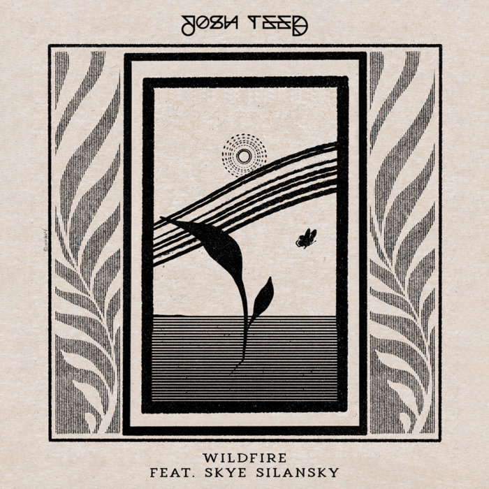 Wildfire | Josh Teed feat. Skye Silansky | Josh Teed