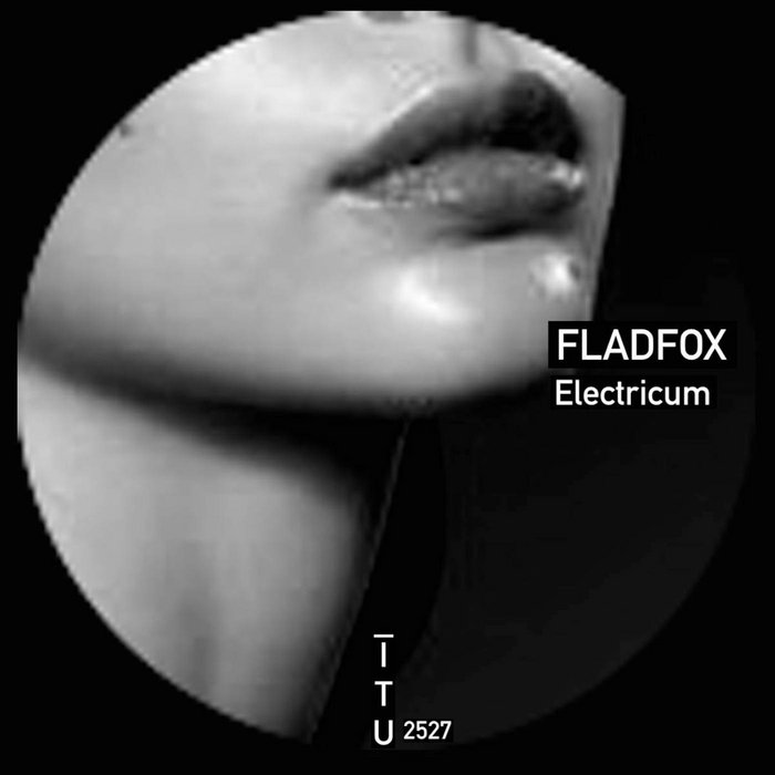 Electricum | fladfox | Industrial Techno United