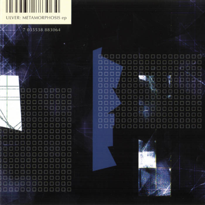 Ulver Kjemper Tegning