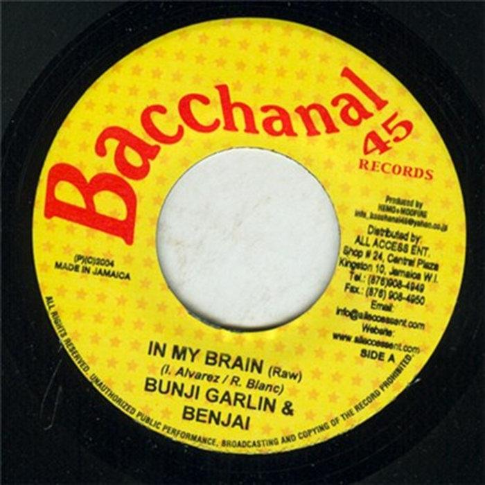 In My Brain | Bunji Garlin