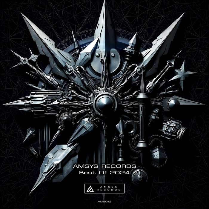 Best Of AMS 2024 | Various Artists | Amsys Records