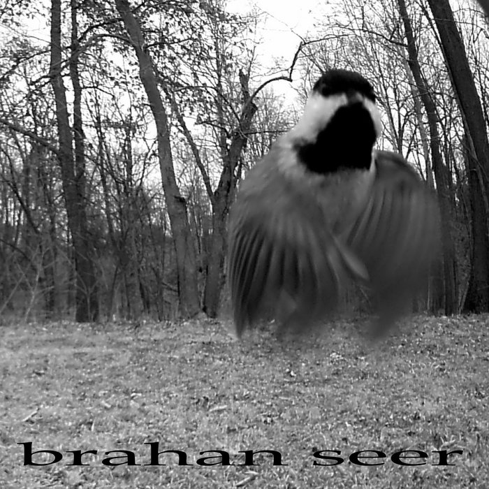 brahan seer | brahan seer