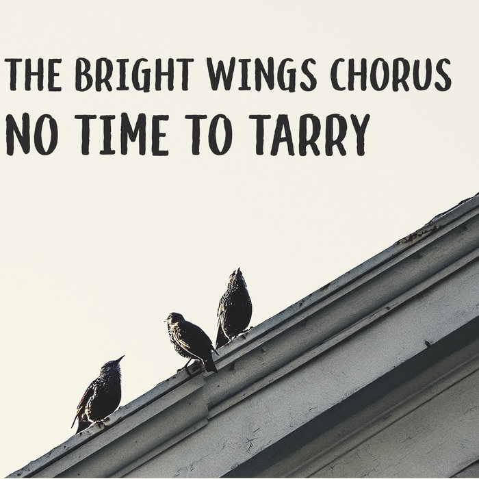 No Time To Tarry | The Bright Wings Chorus | Brendan Taaffe