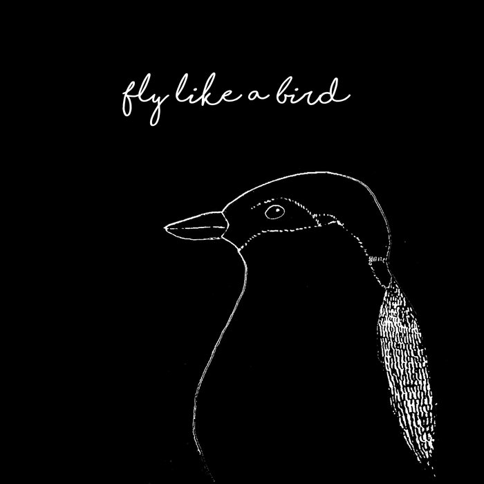 Fly Like A Bird | John Calvelli