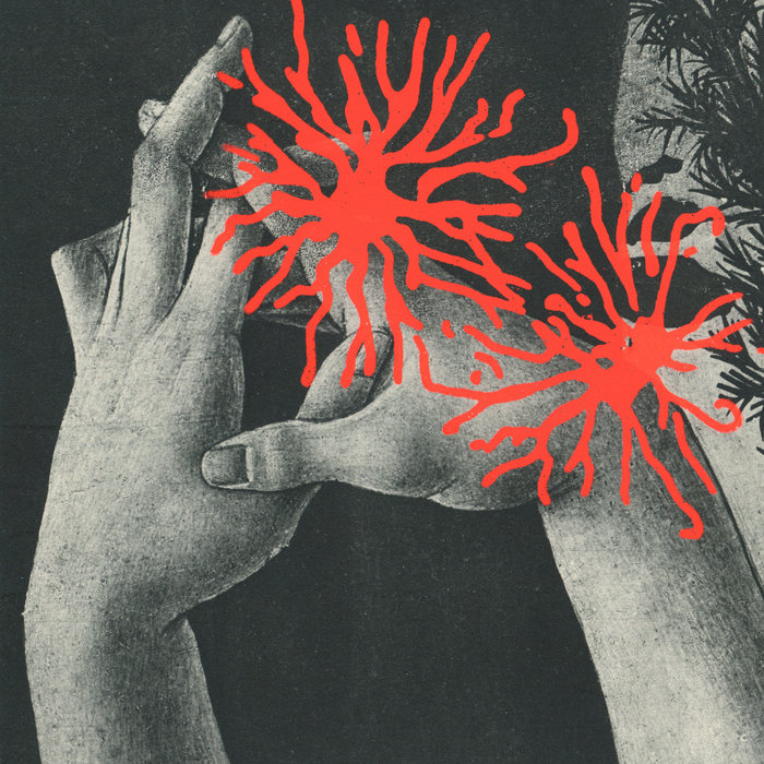 Paper Gestures | Mark Vernon | Glistening Examples