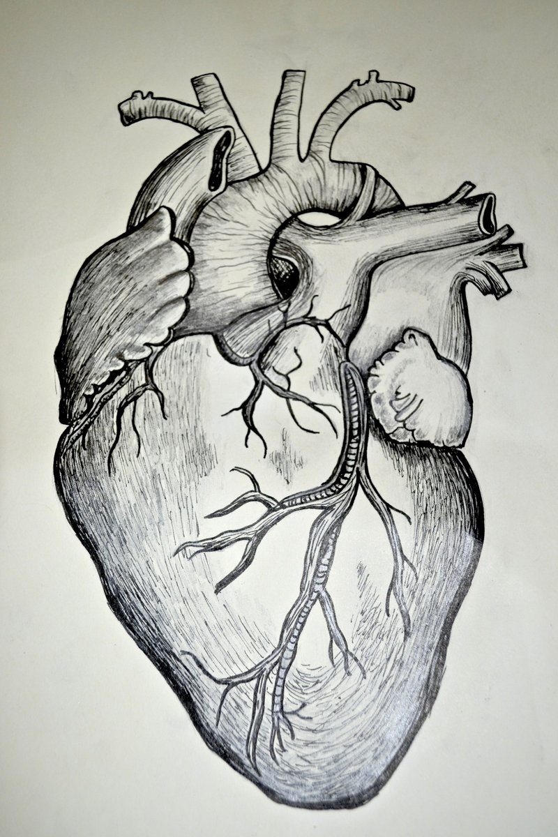 All Is Full Of Love | Mike Brun (feat. Rachel Brotman) | Mike Brun ...