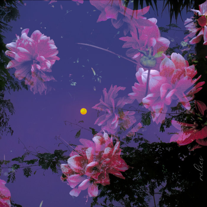 relics | skyler sam reinhardt