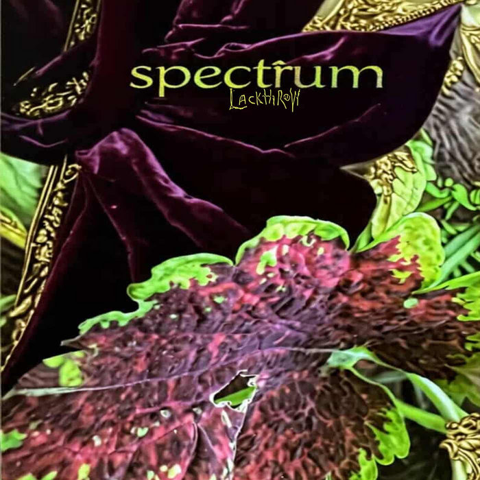 spectrum | Lackthrow