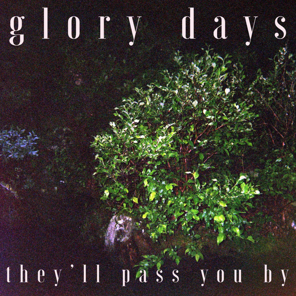 they'll pass you by | glory days