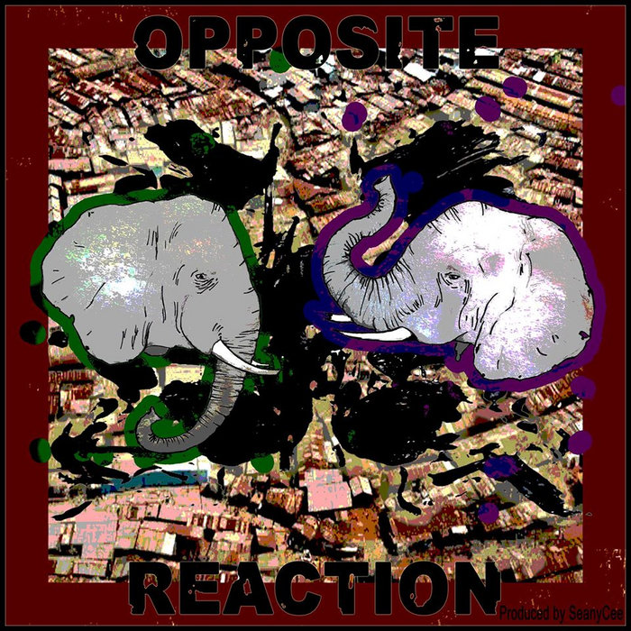 Opposite Reactions | SeanyCee