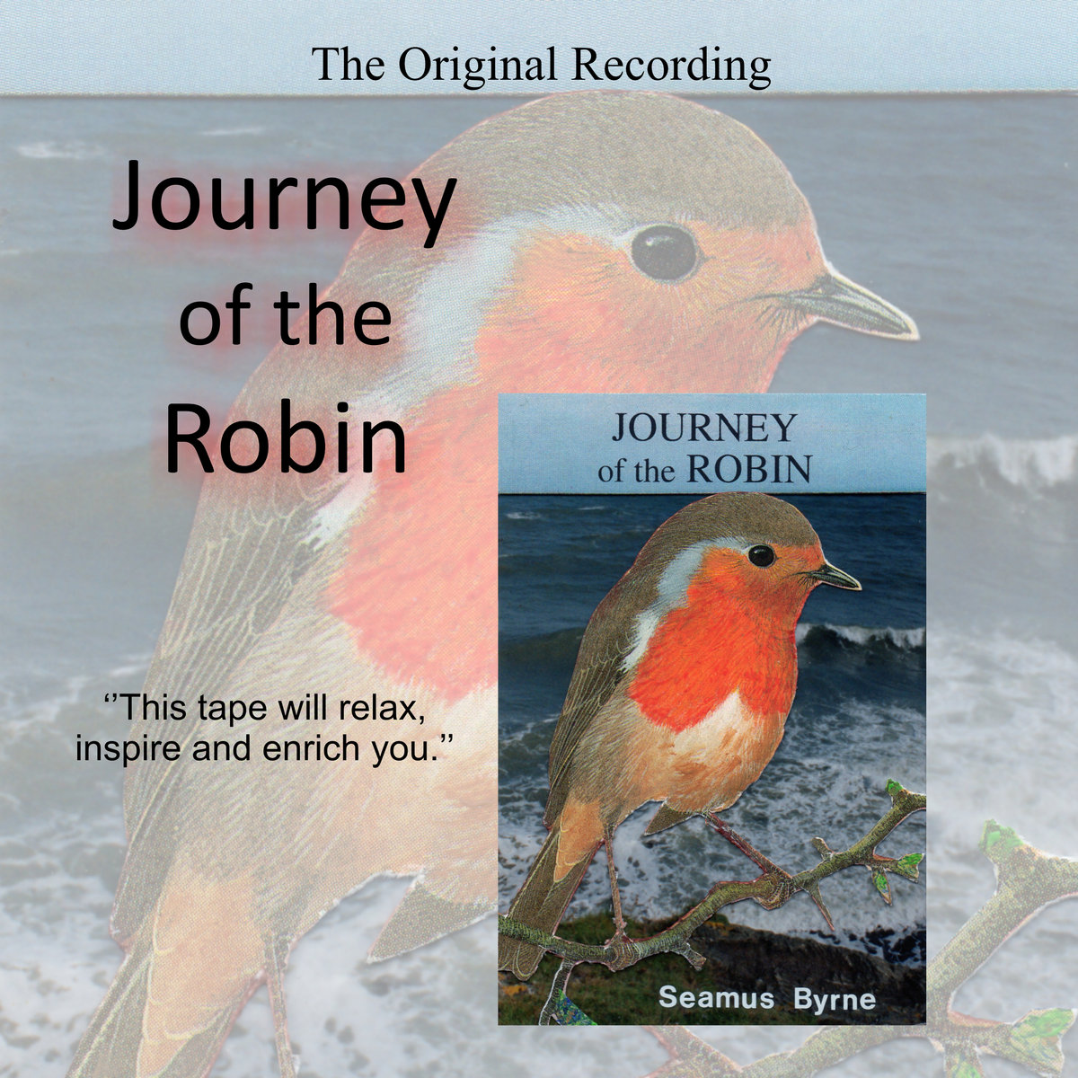 Journey of the Robin | Brother Seamus Byrne