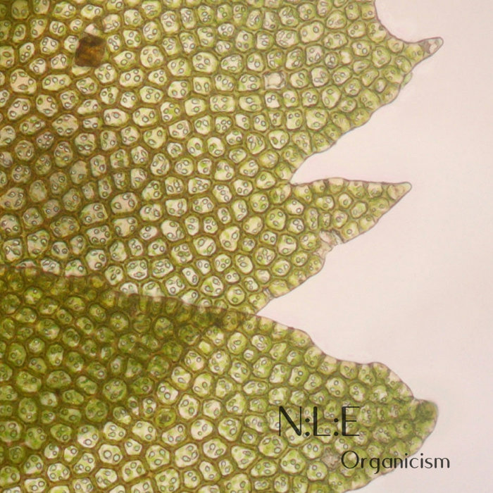 Organicism | N:L:E | Natural Life Essence [ Liquid Frog Records ]