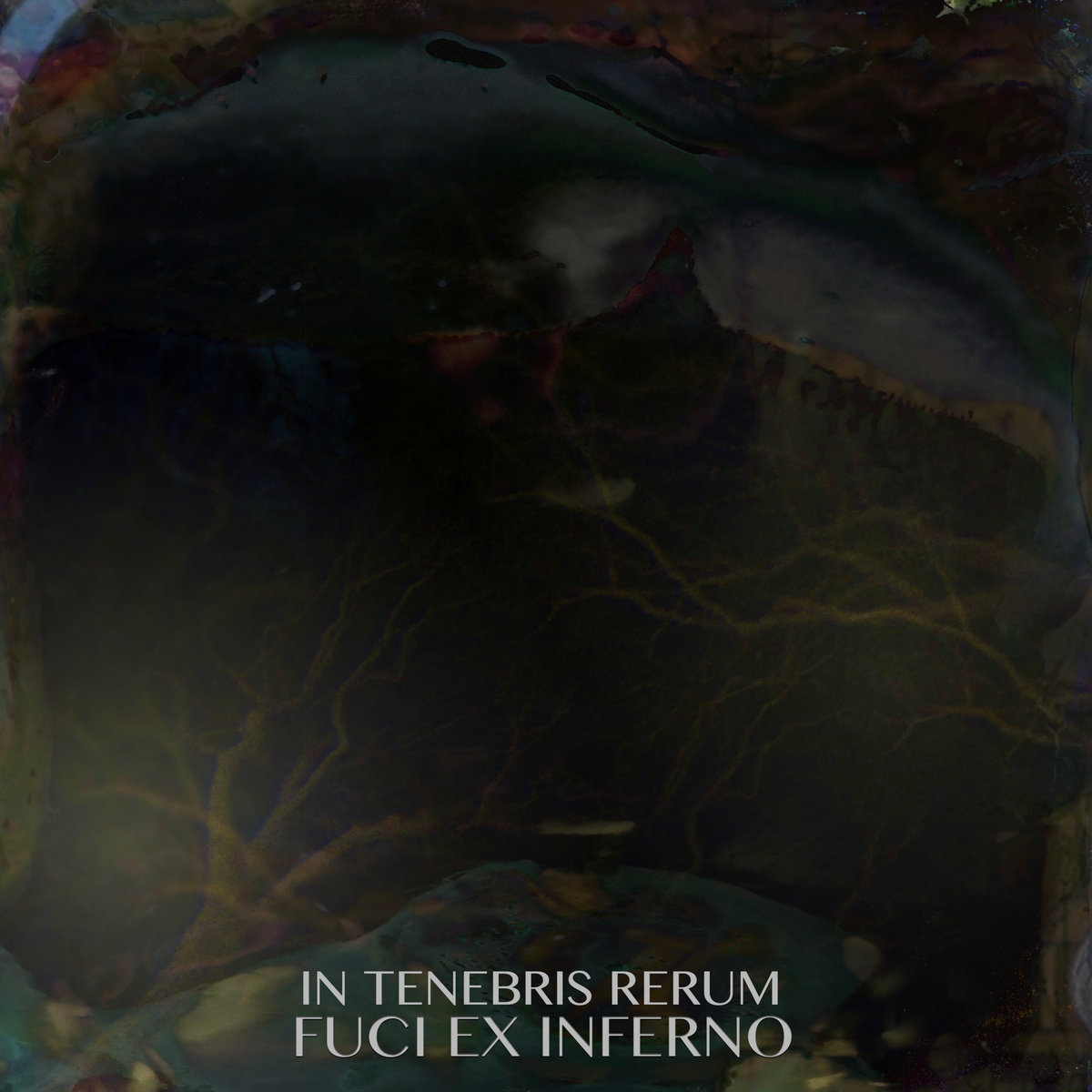 Fuci Ex Inferno | IN TENEBRIS RERUM | Latitude Music