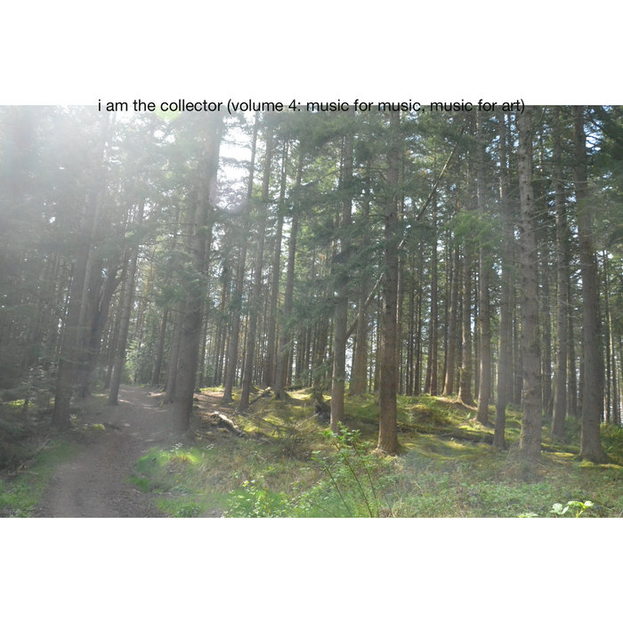 the voice of the evangelist (a reflection on bach's st. john's passion ...