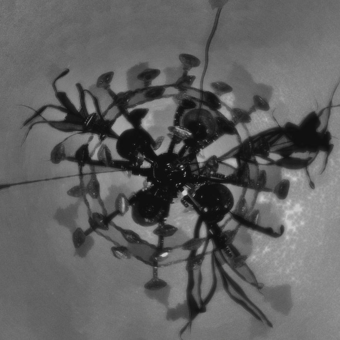 Explore / Exploit | Entire