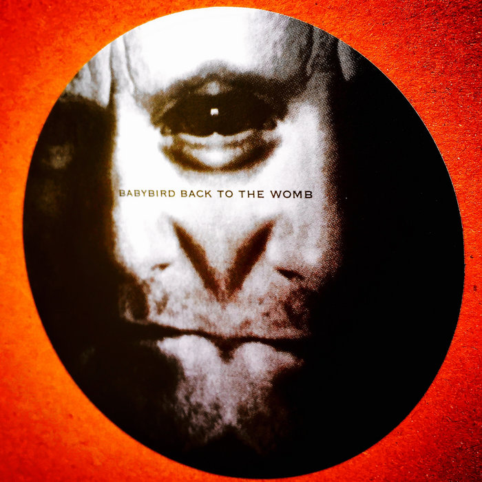 back to the womb | babybird