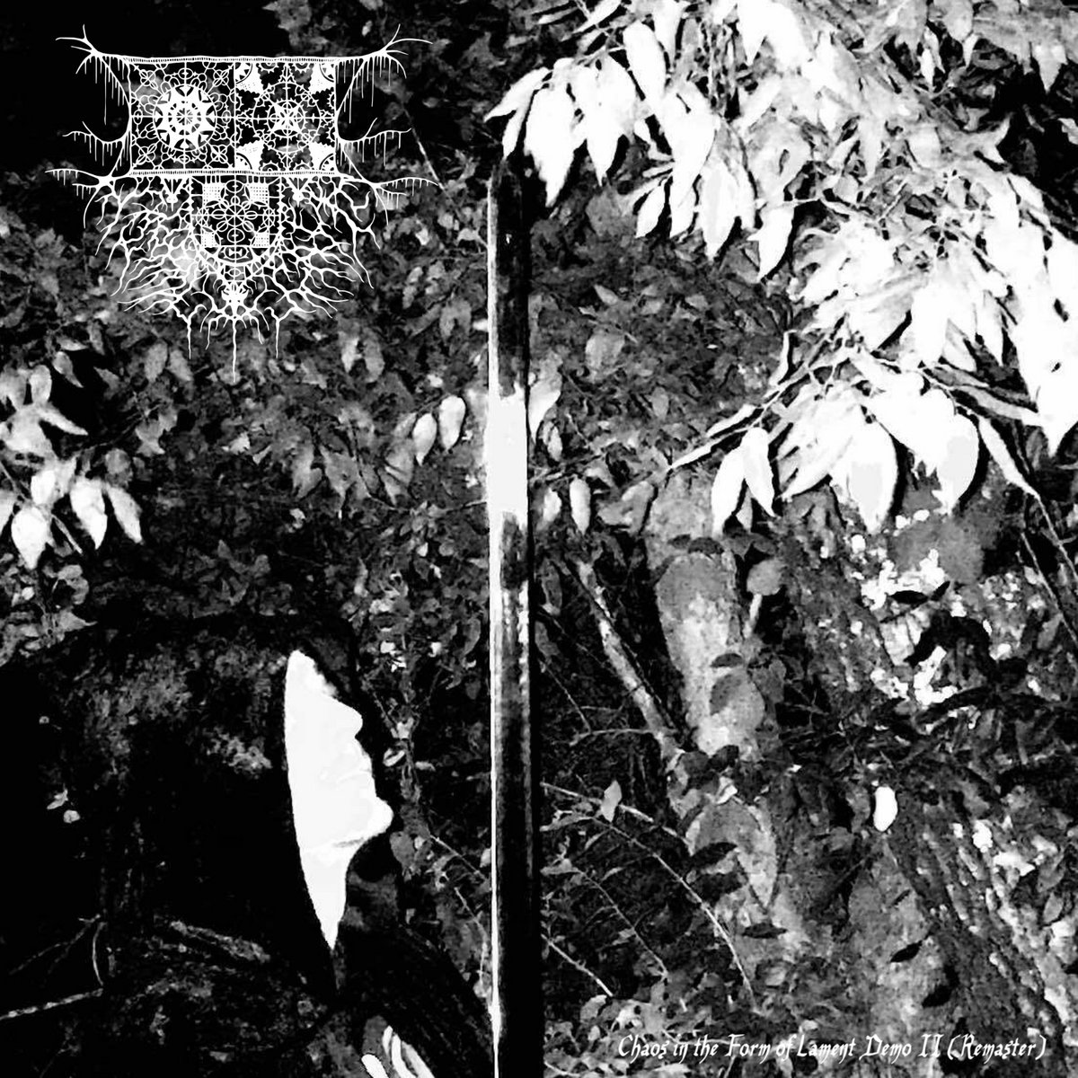 Chaos in the Form of Lament demo II (2024 Remaster) | Taforalt Cave ...