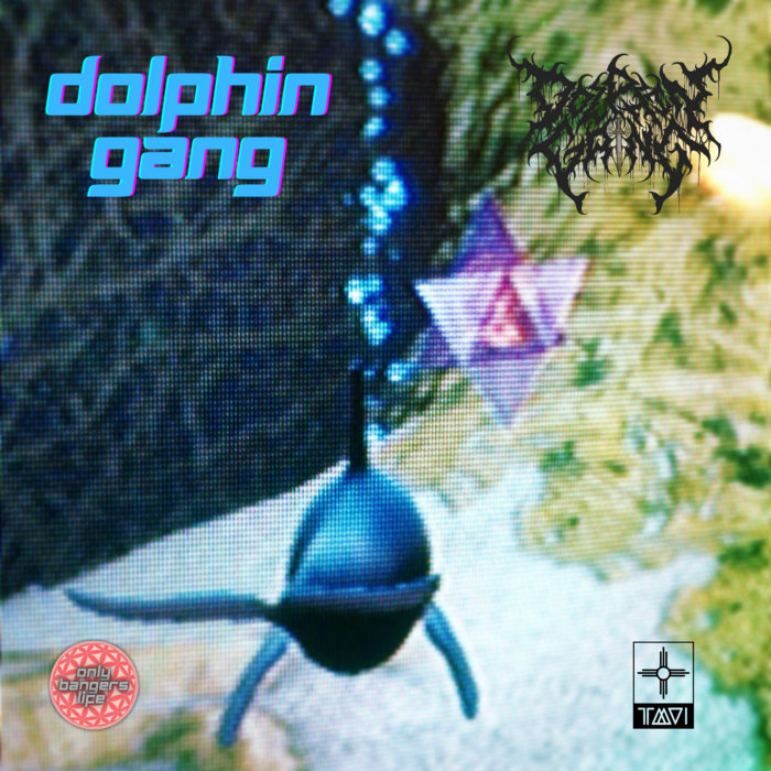 Dolphin Gang Instrumentals, Vol. 2 | Taavi